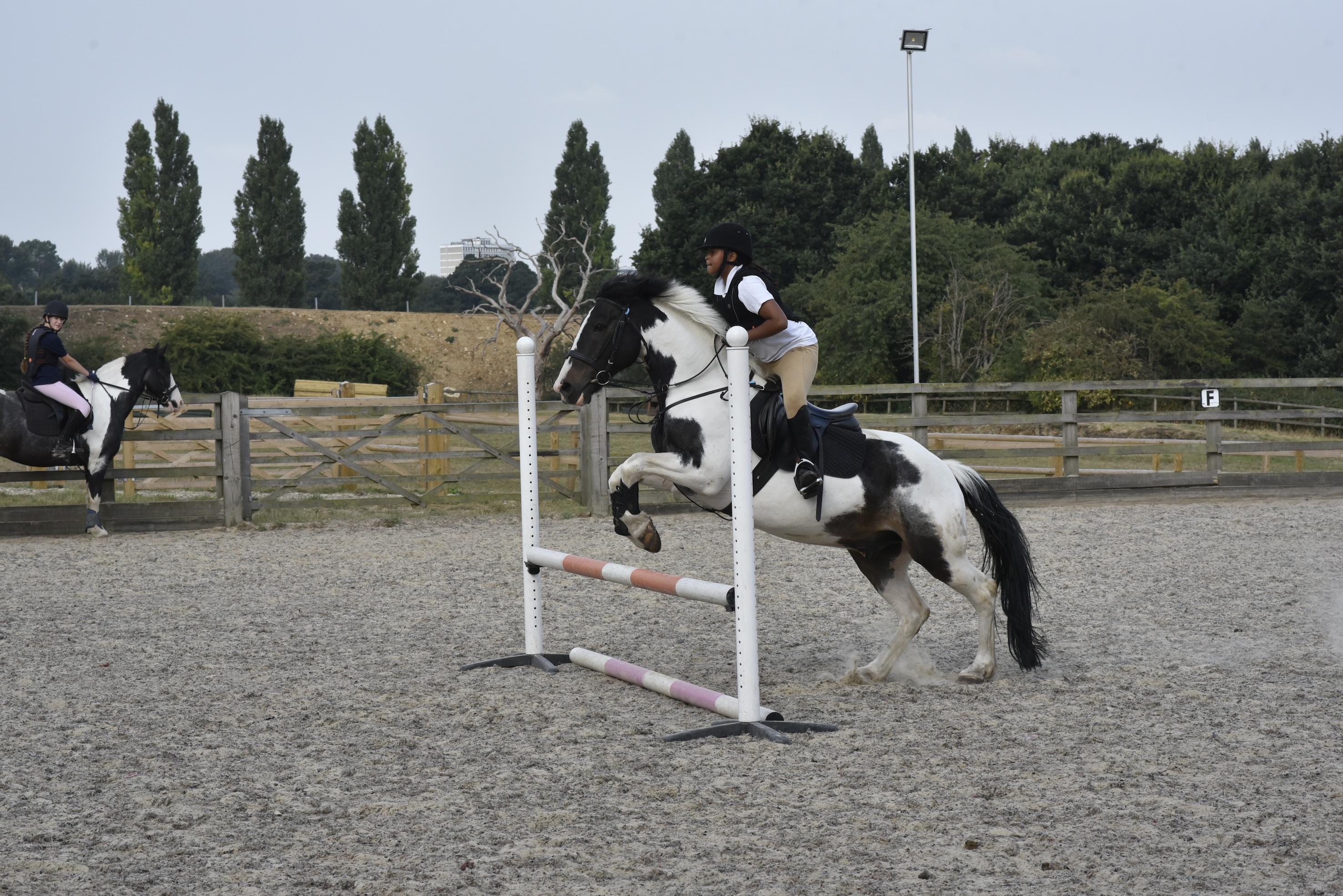 Show Jumping & Cross Country